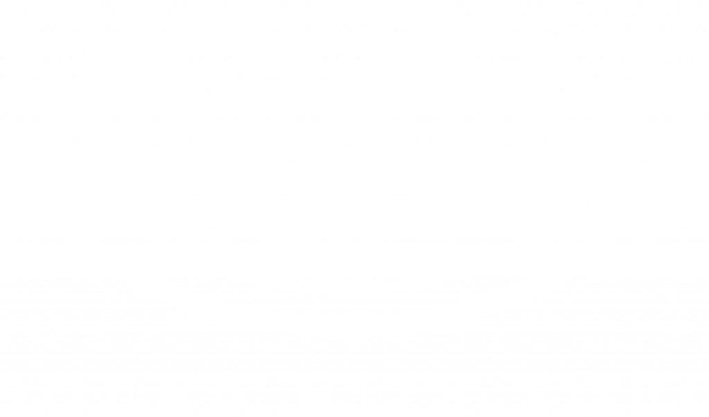 DAS Audio